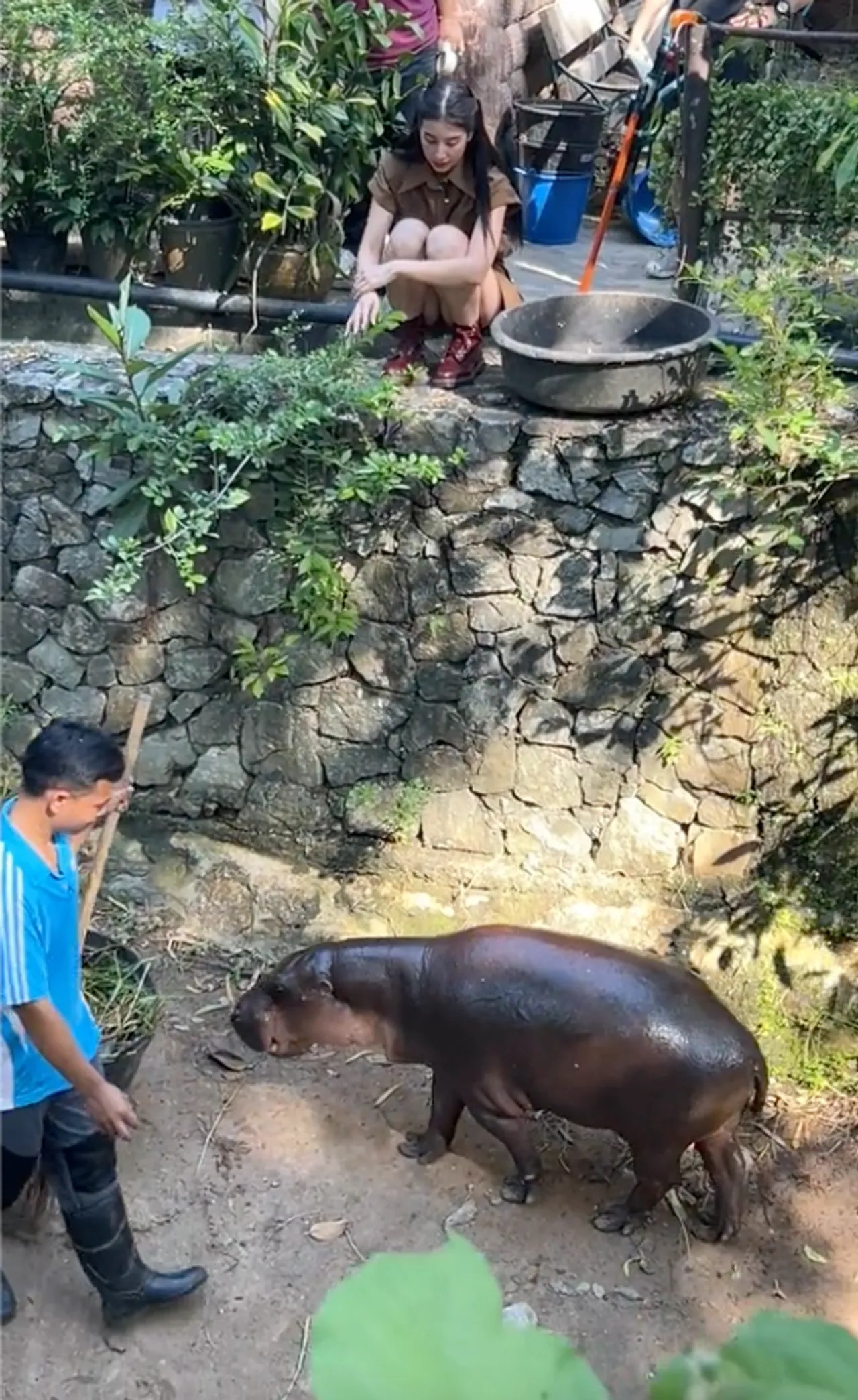 มิ้นต์ ชาลิดา เจอคนแซะ ‘ใช้เส้นอะไร’ หลังมีคลิปนั่งในบ่อฮิปโปแคระที่สวนสัตว์ | SootinClaimon.Com