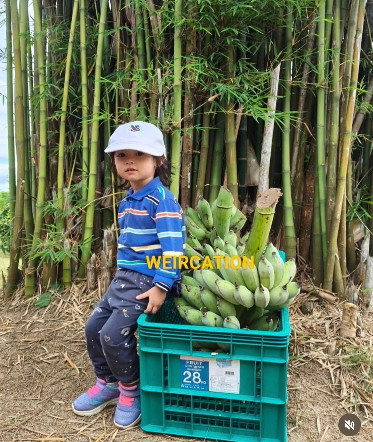 ส่องชีวิตพระเอกดัง เวียร์ ศุกลวัฒน์ สอนลูกเมีย กินอยู่เรียบง่าย ติดดินสุดๆ | SootinClaimon.Com